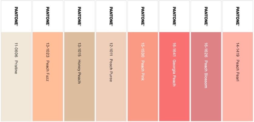 La couleur Pantone 2024 : Peach Fuzz | Printoblog
